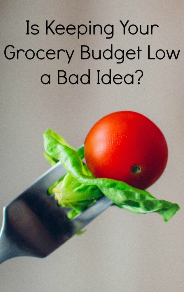 Is Keeping Your Grocery Budget Low a Bad Idea? - Everybody Loves Your Money